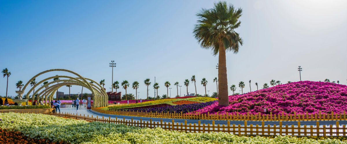 Places to Visit in Yanbu: To Discover the Natural Beauty and Rich History