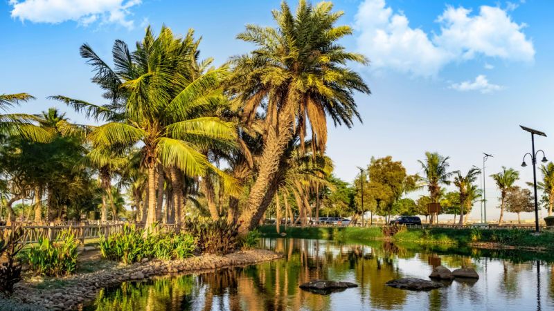 Places to Visit in Yanbu: To Discover the Natural Beauty and Rich History