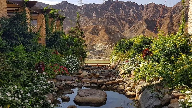 Top 8 Things to Do in Fujairah, UAE: Best place for Adventure Sports ...
