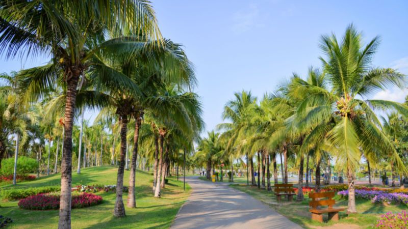 Best 8 Parks in Riyadh: For Quality Time in Nature's Lap