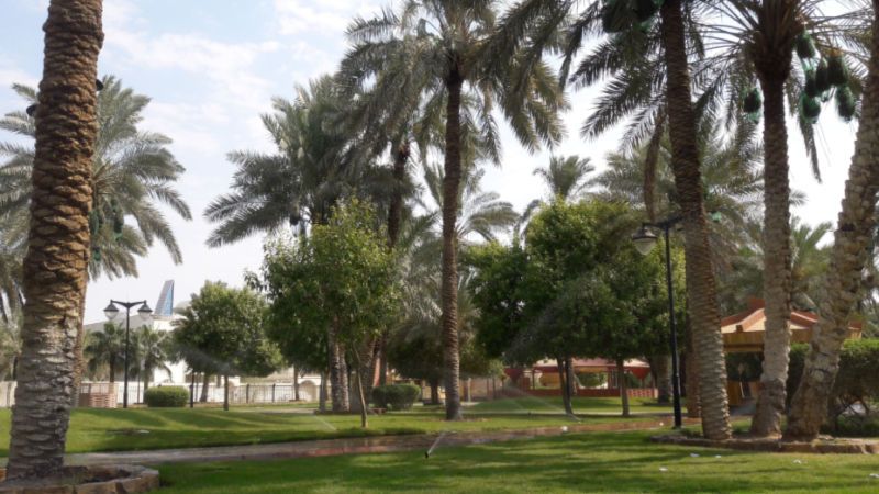 Best 8 Parks in Riyadh: For Quality Time in Nature's Lap
