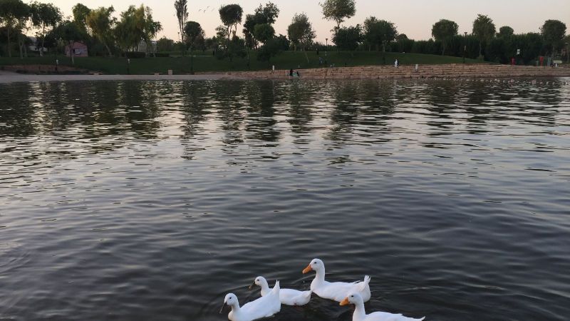 Best 8 Parks in Riyadh: For Quality Time in Nature's Lap