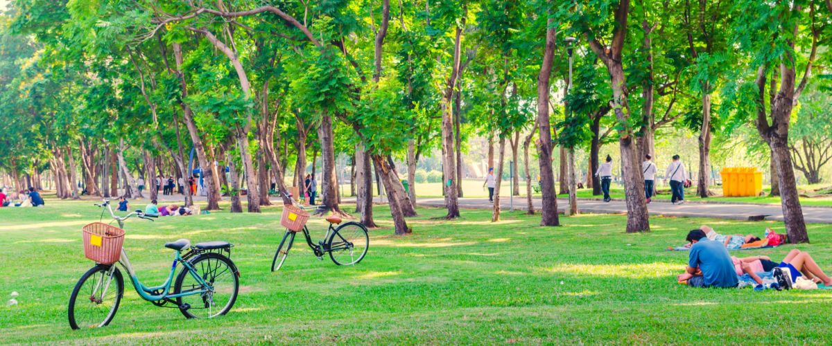 Parks in Tabuk: Perfect Spots to Bask in the Sun