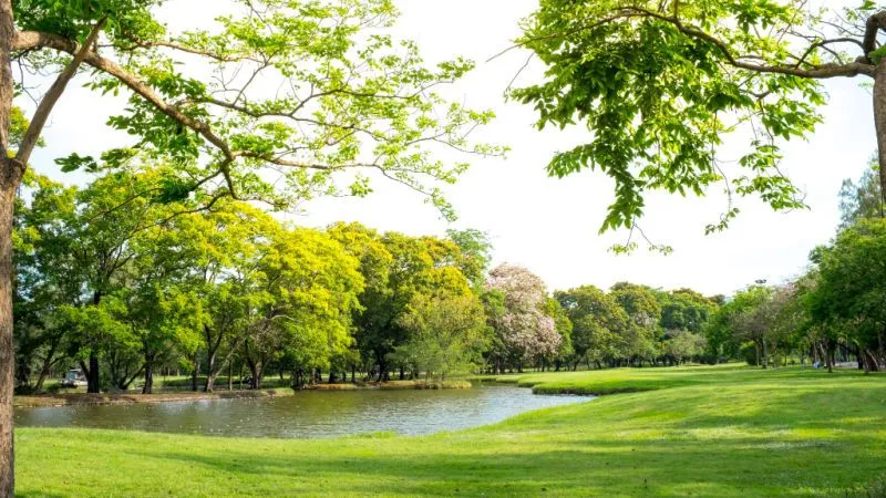 Parks in Tabuk: Perfect Spots to Bask in the Sun