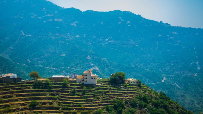 Top 8 Fun Things to do in Jazan: For a Thrilling Holiday