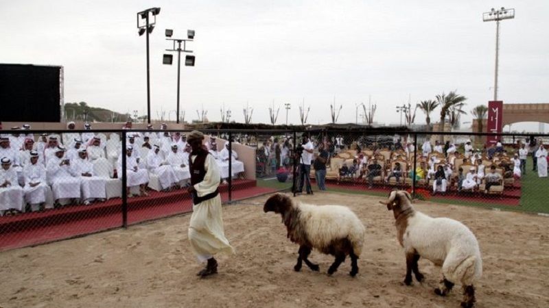 Festivals in Qatar: A Reflection of the Rich Culture and Modernity