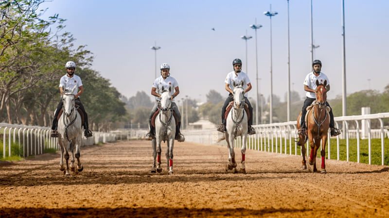 Al Shaqab Qatar for its tribute to the Arabian horse