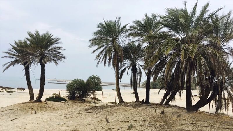 Umm Bab Beach: A Perfect Spot For Your Family Getaway In Qatar