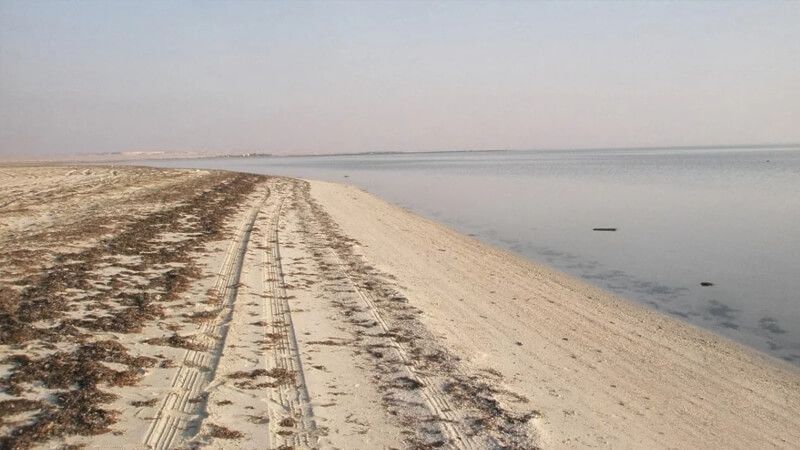 Umm Bab Beach: A Perfect Spot For Your Family Getaway In Qatar