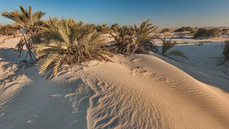 Umm Bab Beach: A Perfect Spot For Your Family Getaway In Qatar