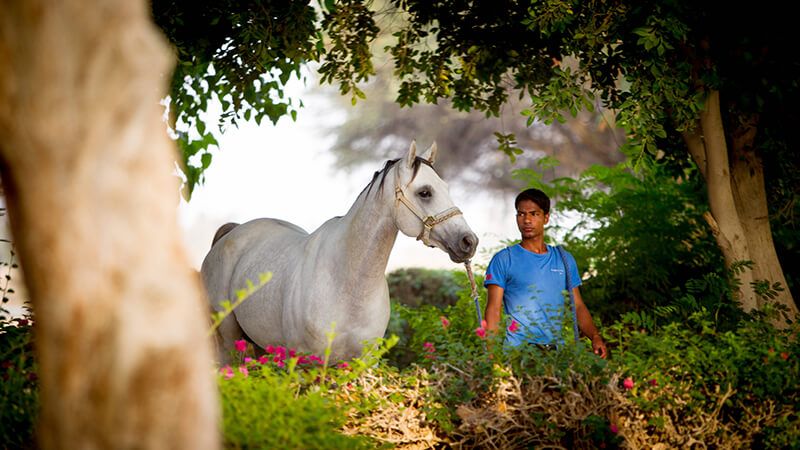 Best 5 Places To Visit In Shahaniya For A Jolly Escape