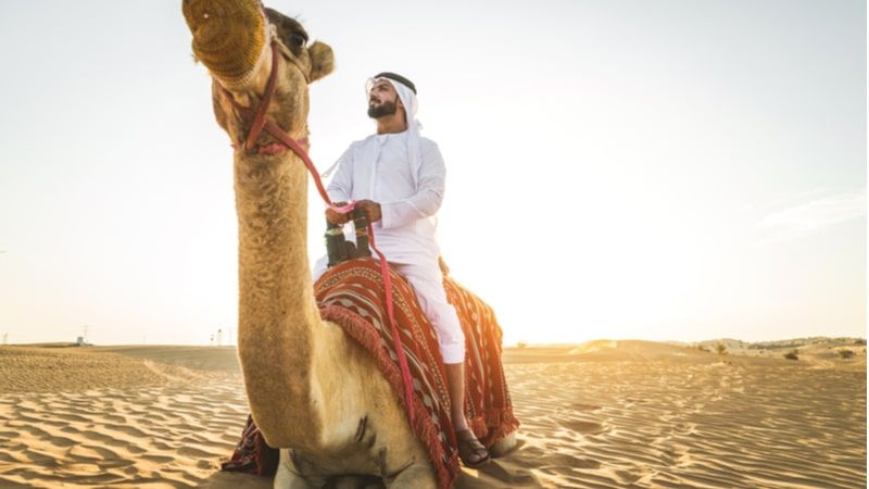 Camel Riding in Qatar: A Fun-filled Way of Enjoying in the Desert