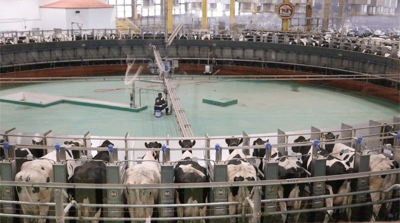 Baladna Park in Qatar: Perfect Escape From Hassle Of The Country