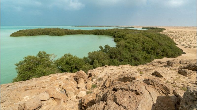 Islands in Saudi Arabia: Explore the Water-world and Islands of kingdom