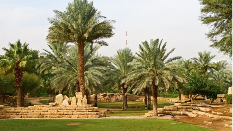 8 Family Parks In Saudi Arabia For Restful Outing With Friends And Fam