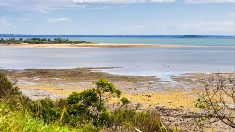 Islands in Saudi Arabia: Explore the Water-world and Islands of kingdom