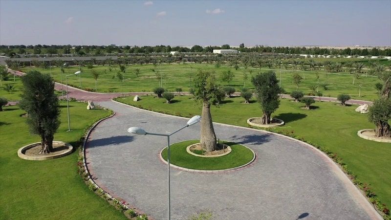 Al Waab Family Park Qatar: A Place For Family Picnic And Fun