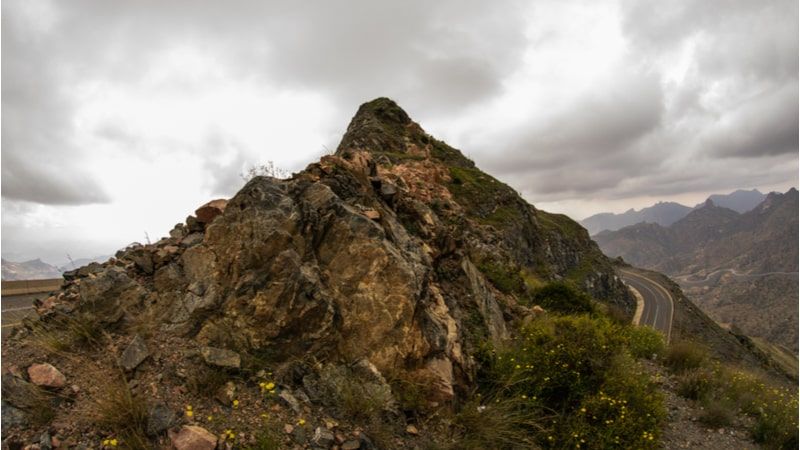 Places To Visit In Taif: For A Memorable Holiday