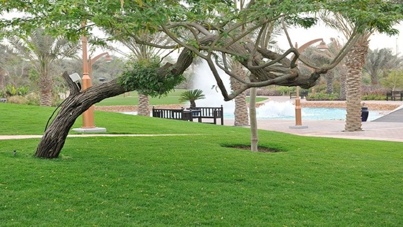 Parks in Bahrain: To Enjoy Mother Nature At Its Best