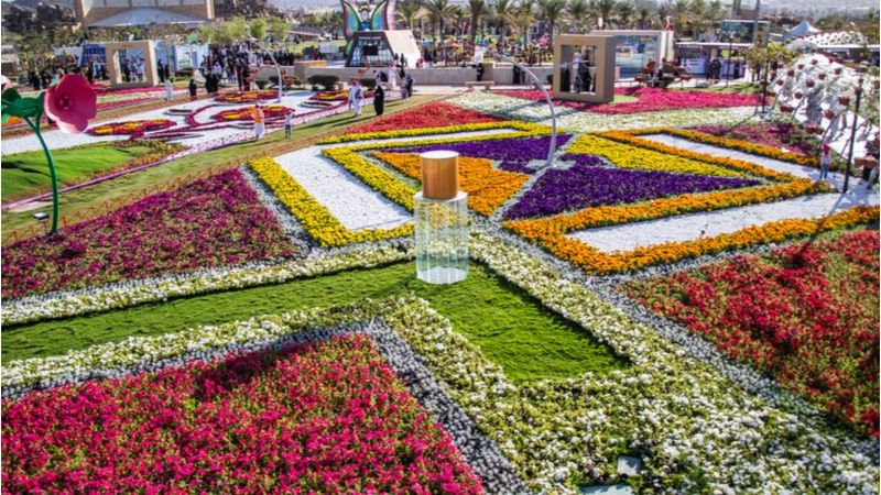 Places To Visit In Taif: For A Memorable Holiday