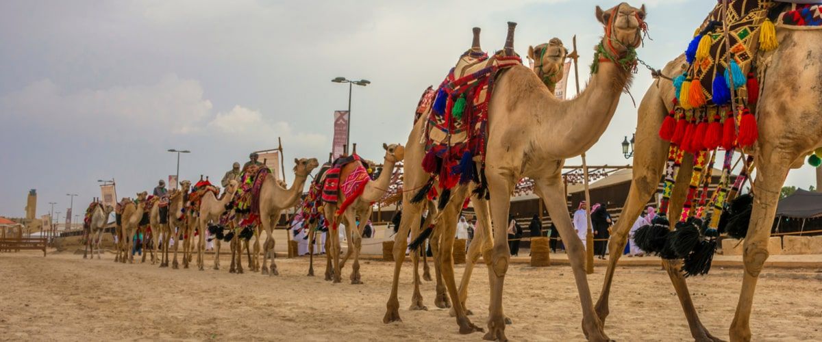 Souk Okaz Festival: A Complete Guide on the Big Event of Saudi Arabia
