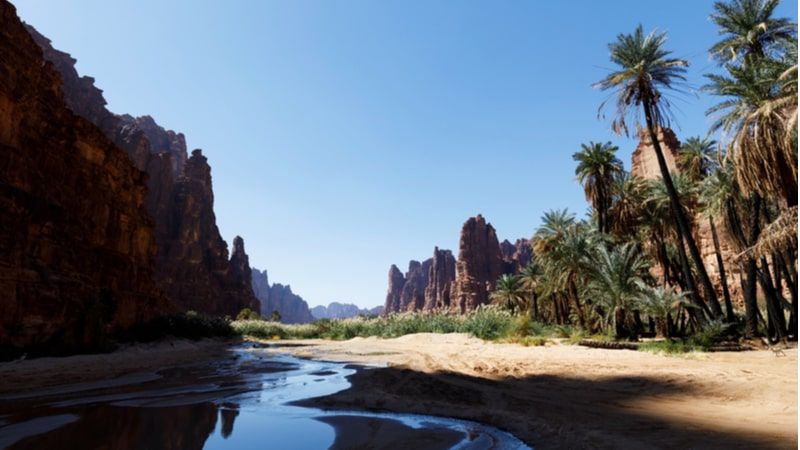 Places To Visit In Tabuk: A Heaven For History Buffs