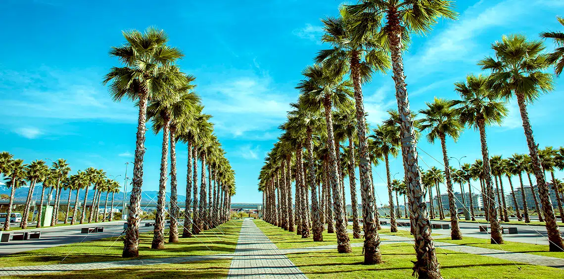 5 Days Orlando Family Tour Package - Regencyholidays
