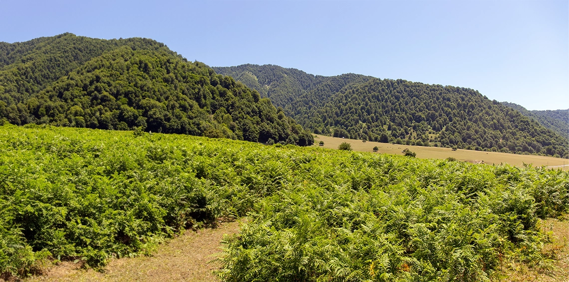 Explore Gabala and Baku 6 Nights 7 Days Tour Package- Regencyholidays.com