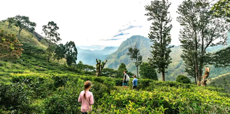 Sri Lanka Family Packages, Family Vacation in Sri Lanka - Regencyholidays.com