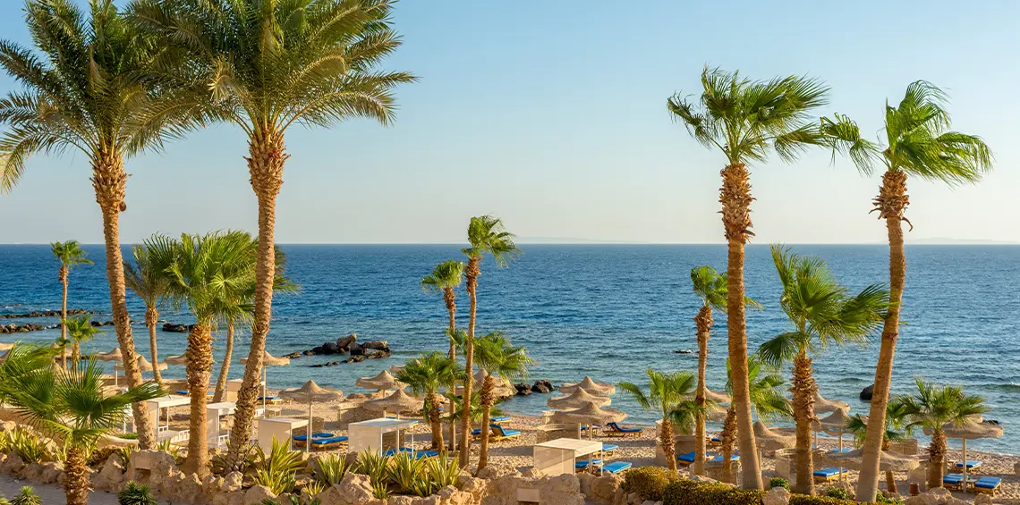 Cairo and Hurghada 7 Nights 8 Days Tour Package with Regencyholidays.com