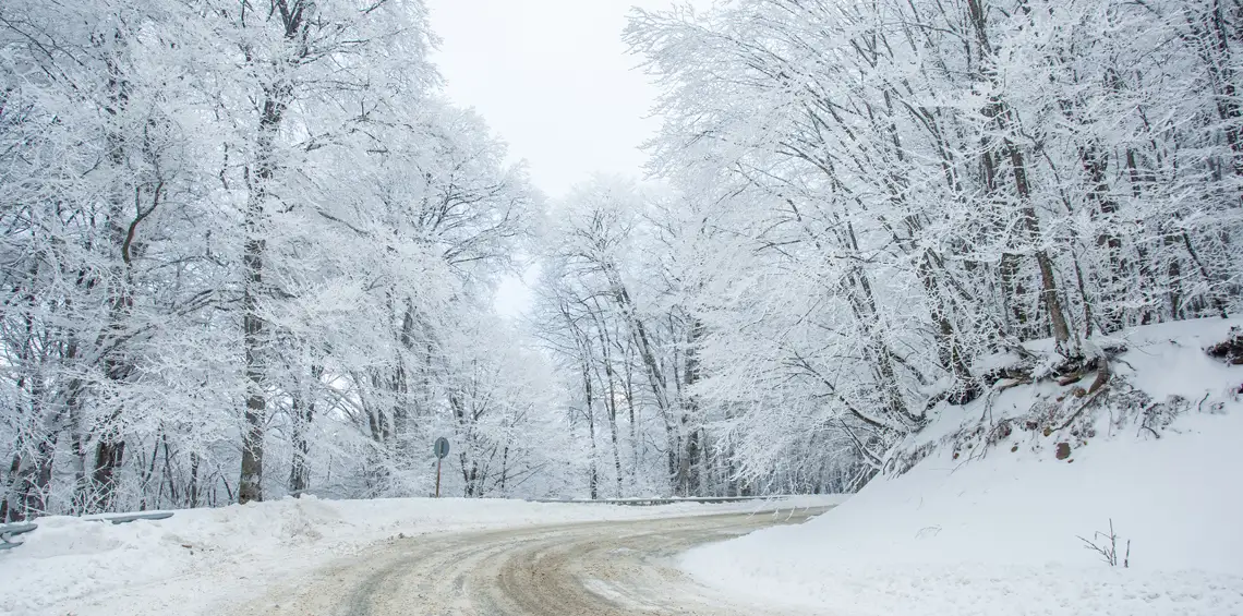 5 Nights 6 Days Tbilisi Winter Holiday Package - Regencyholidays