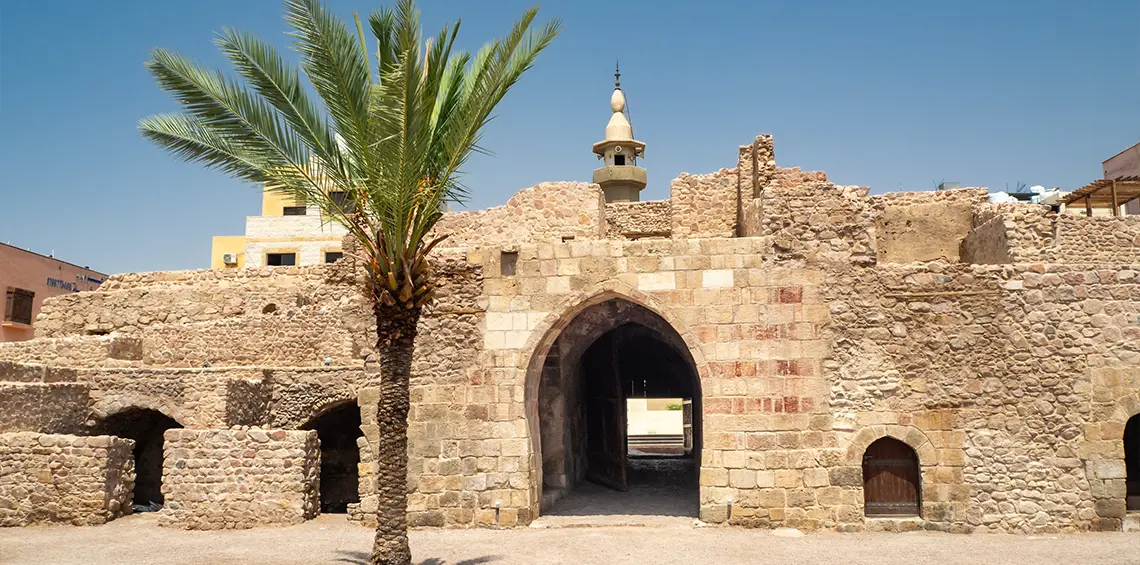 Amman with Aqaba and Petra 9 Days 8 Nights Tour Package ...
