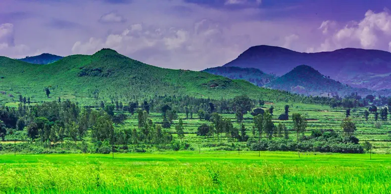 Sachkhere Tour Packages, Tour Vacation in Sachkhere - Regencyholidays.com