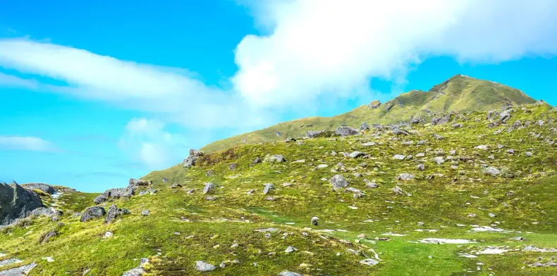 Georgia Tour Packages from USA, Holiday Trip to Georgia - Regencyholidays