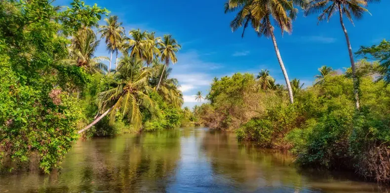 Sri Lanka Family Packages, Family Vacation in Sri Lanka - Regencyholidays.com