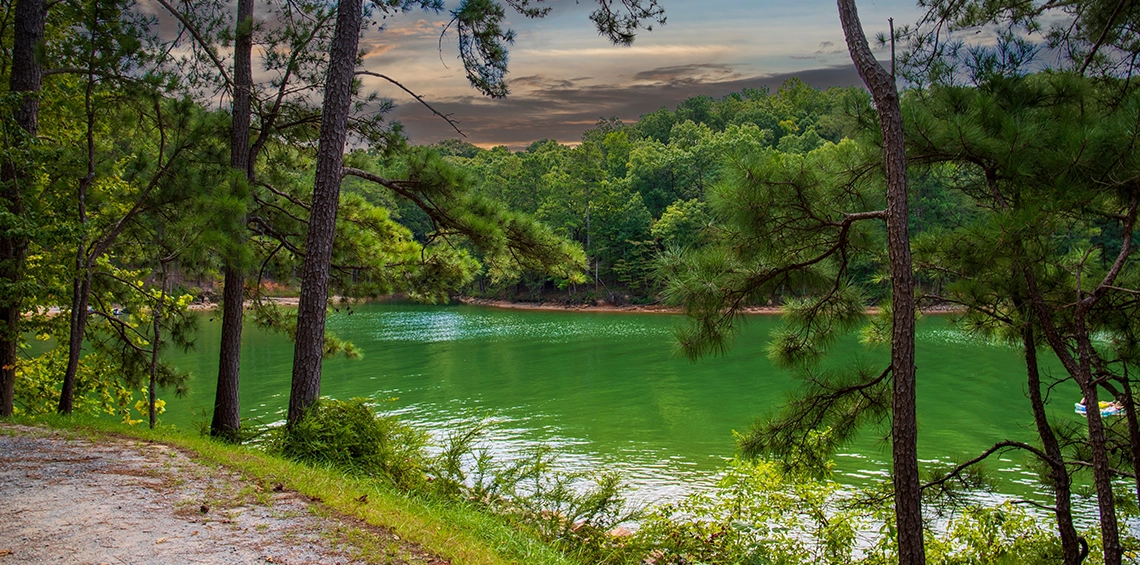 1 Night 2 Days Samtredia Tour Package - Regencyholidays.com