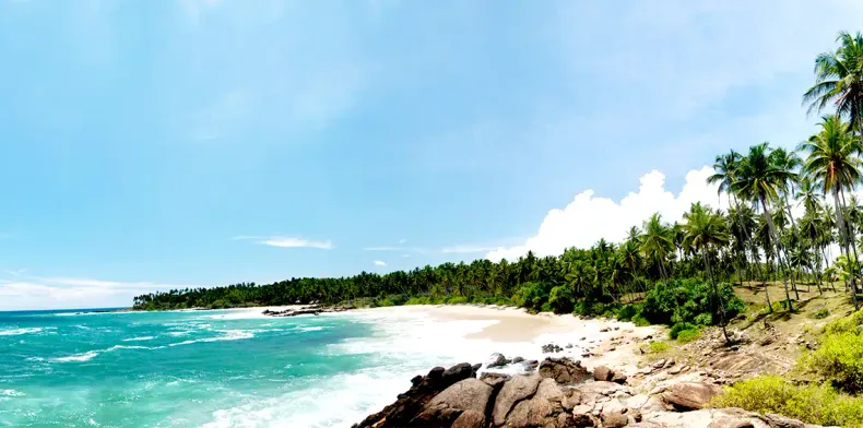 Sri Lanka Family Packages, Family Vacation in Sri Lanka - Regencyholidays.com