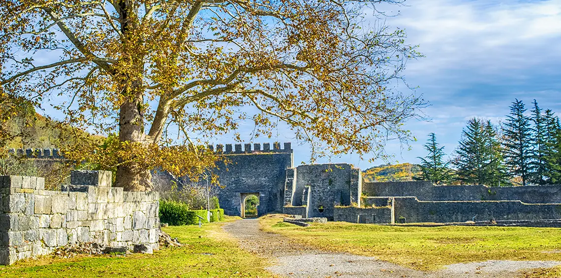 2 Nights 3 Days Senaki Tour Package - Regencyholidays.com